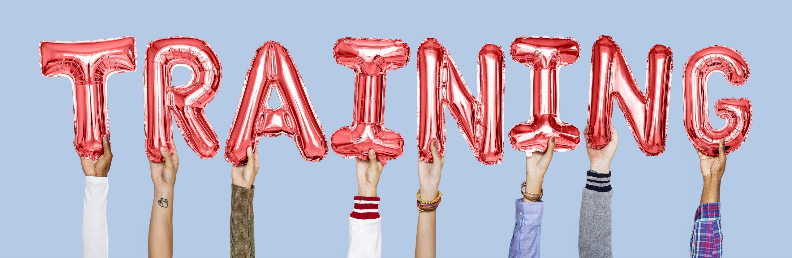 Training – Alliance & Brave